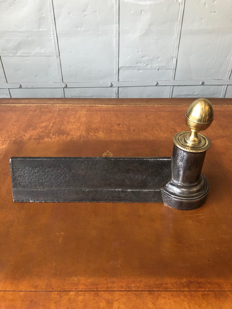 Pair of Small Empire Style Iron Andirons with Brass Finials For Sale at ...