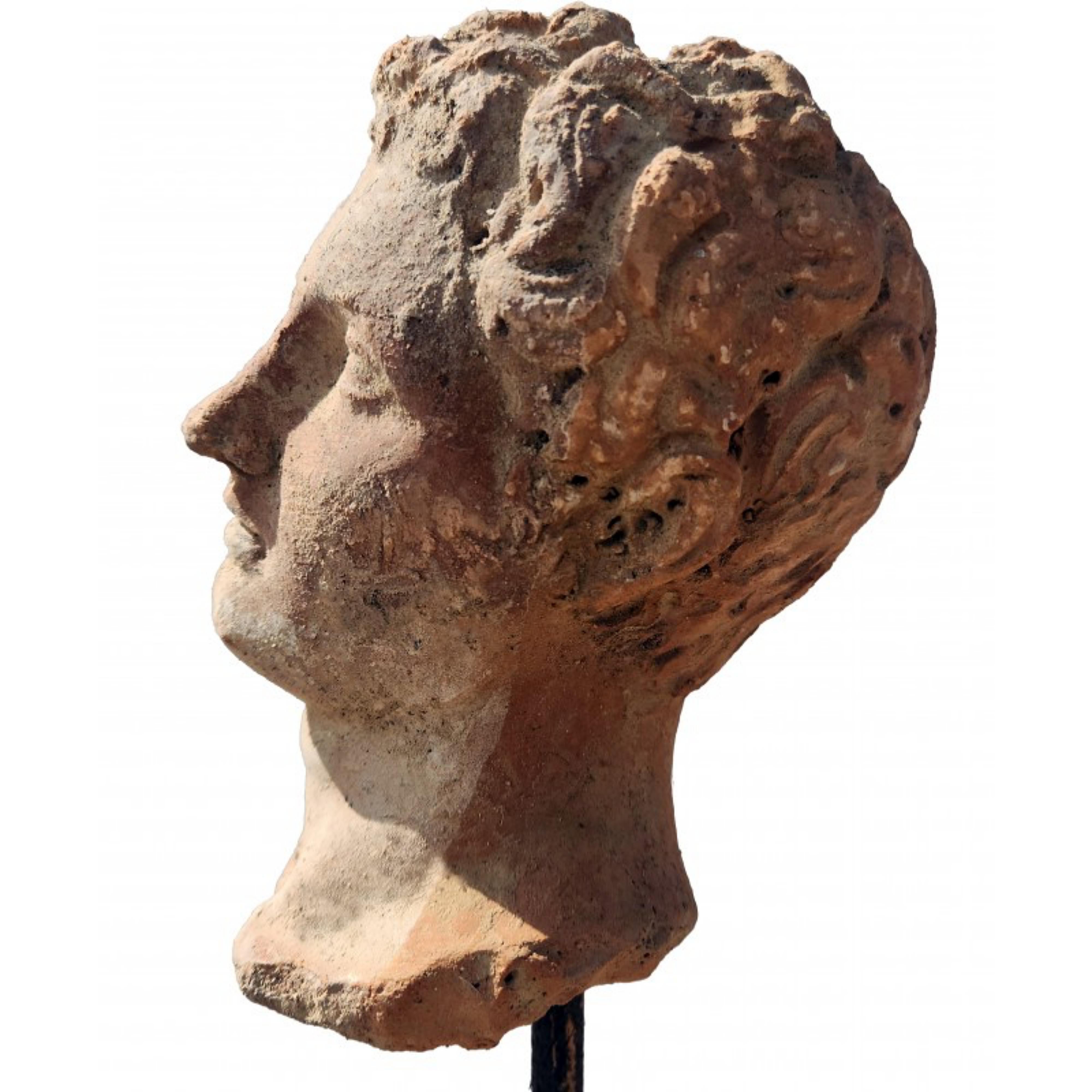 PAIR OF SMALL TERRACOTTA APOLLO HEADS 20th century For Sale at 1stDibs