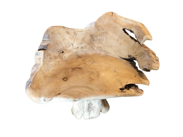 Pair of Solid Teak Root Chairs at 1stDibs