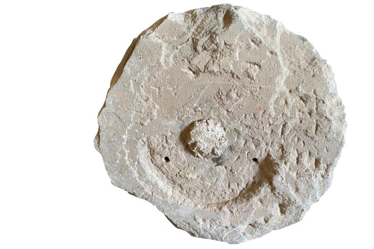 Pair of Spanish 16th Century Stone Markers For Sale at 1stDibs