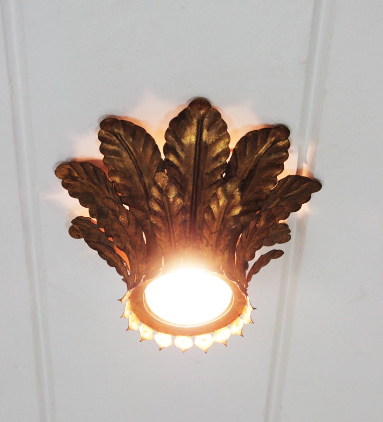 Sunburst Foliage Crown Light Fixtures in Gilt Iron, Pair For Sale at ...