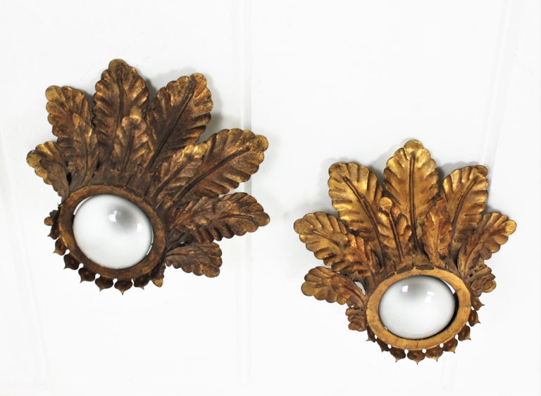 Sunburst Foliage Crown Light Fixtures in Gilt Iron, Pair For Sale at ...