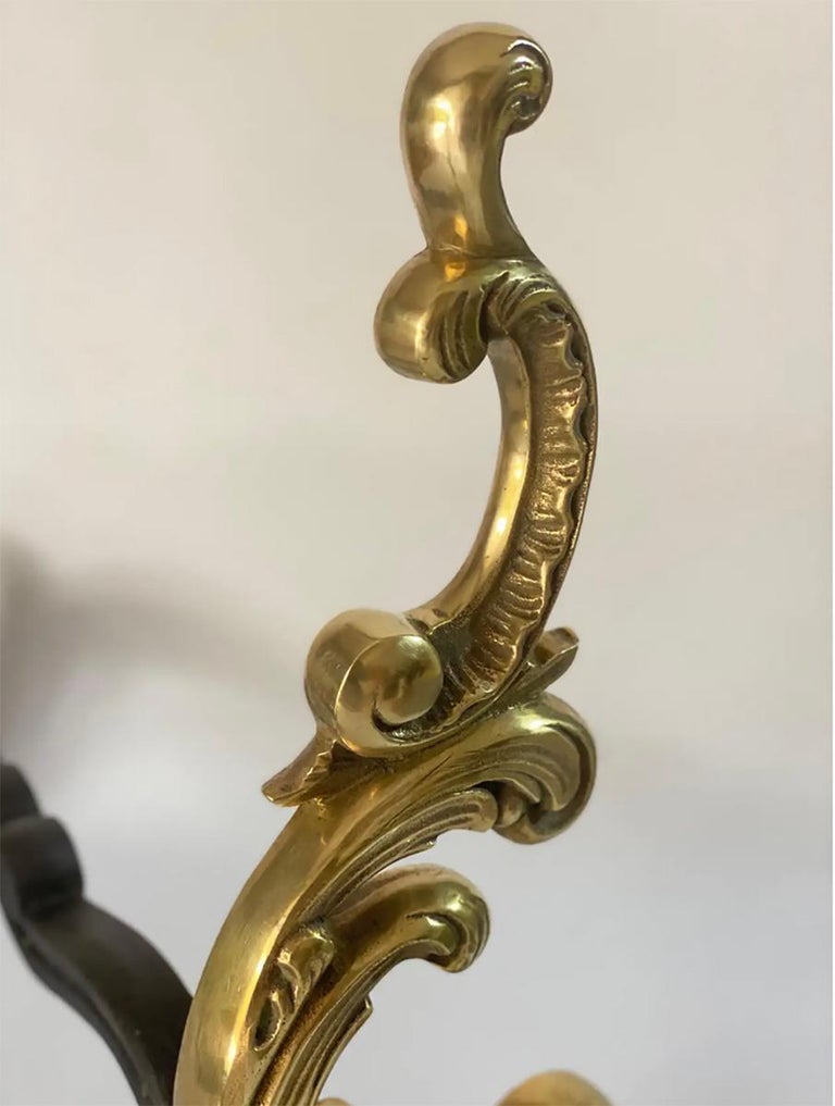 Pair of Steel and Bronze Andirons, Black and Gold Color, France, 19th ...