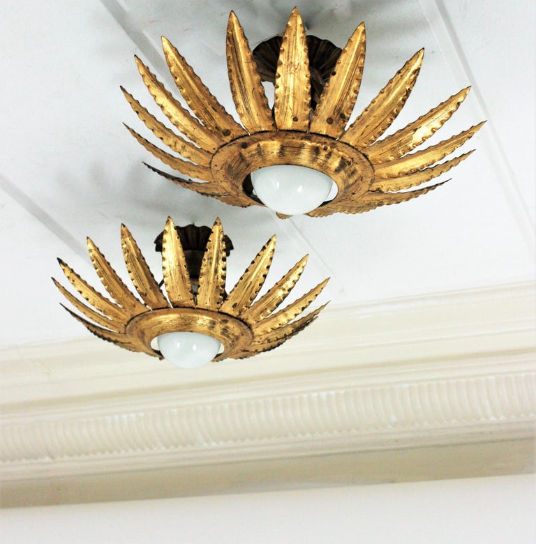 Pair of Sunburst Flower Light Fixtures or Pendants in Gilt Metal For ...