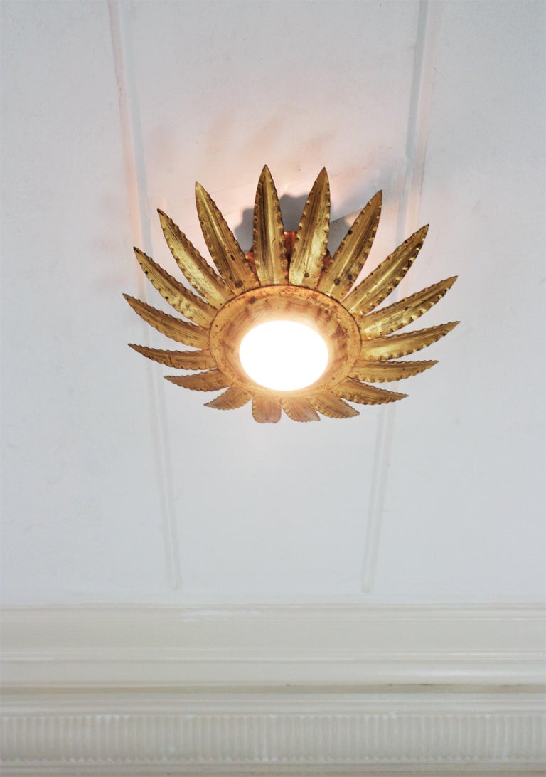 Pair of Sunburst Flower Light Fixtures or Pendants in Gilt Metal For ...
