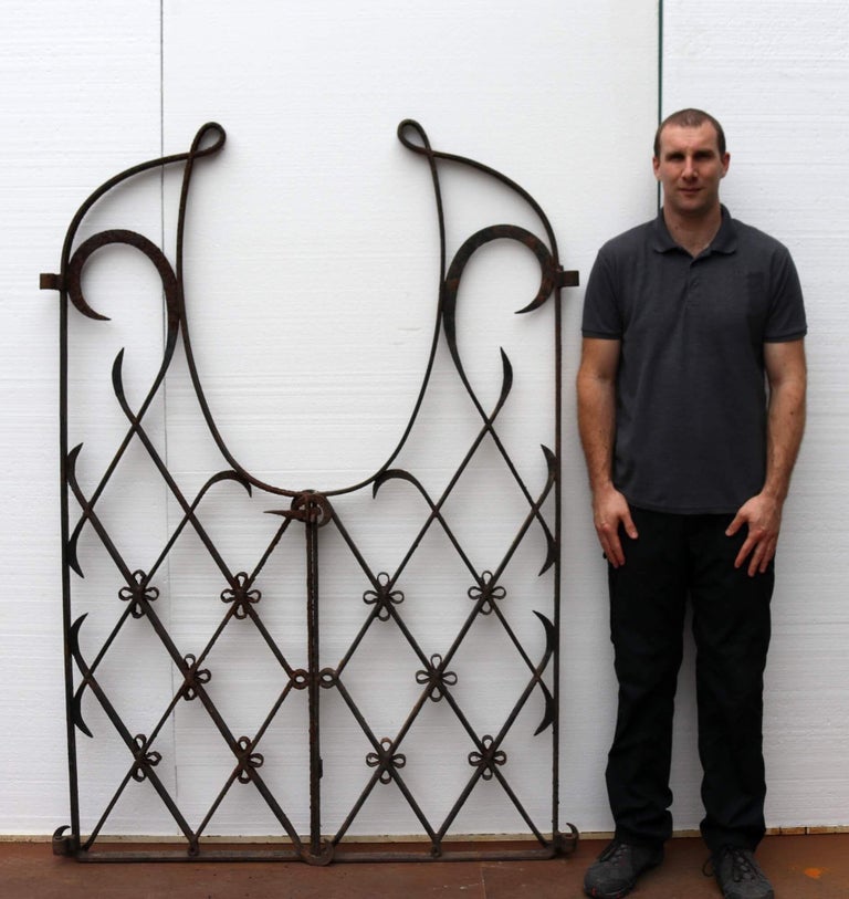 Pair of Tall Wrought Iron Gates with Unusual Design For Sale at 1stDibs