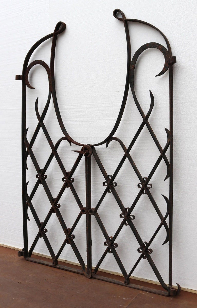 Pair of Tall Wrought Iron Gates with Unusual Design For Sale at 1stDibs