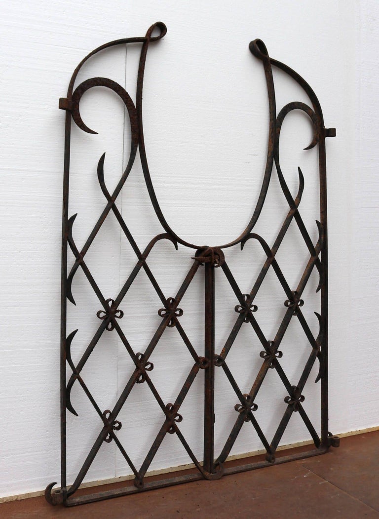 Pair of Tall Wrought Iron Gates with Unusual Design For Sale at 1stDibs