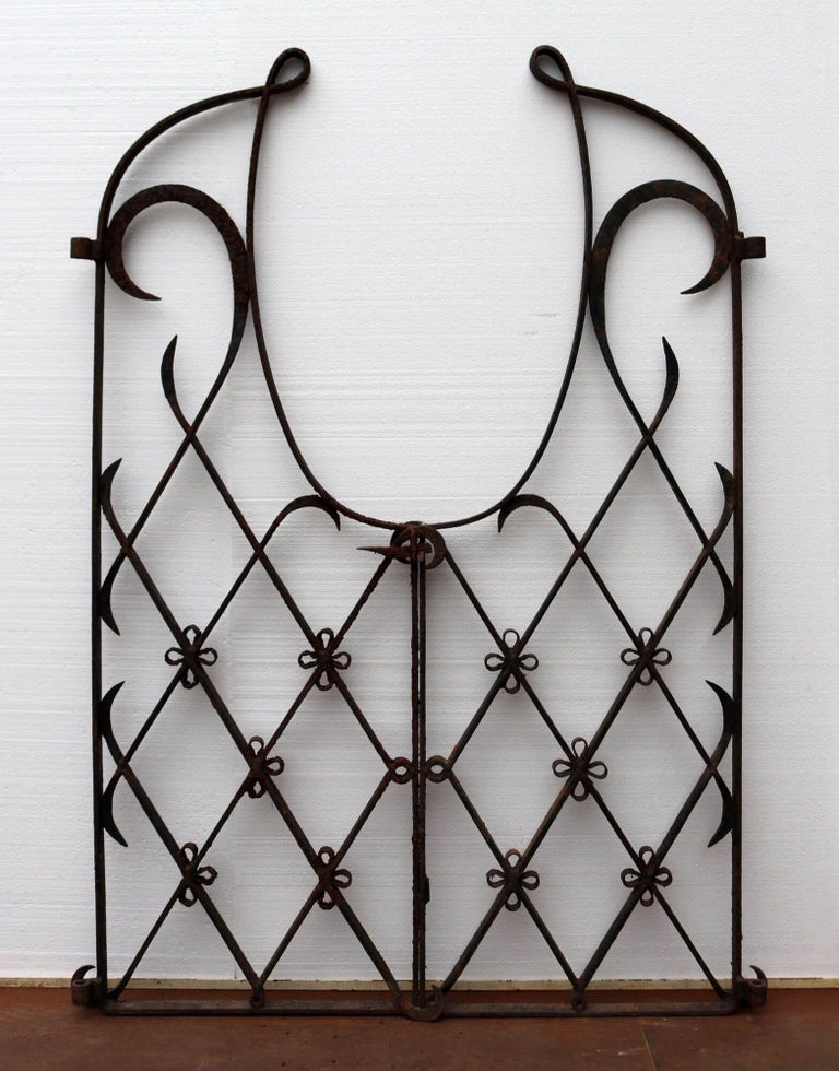 Pair of Tall Wrought Iron Gates with Unusual Design For Sale at 1stDibs