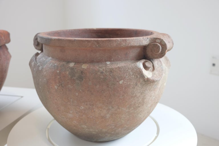 Pair of Terracotta Compton Scroll Pots at 1stDibs