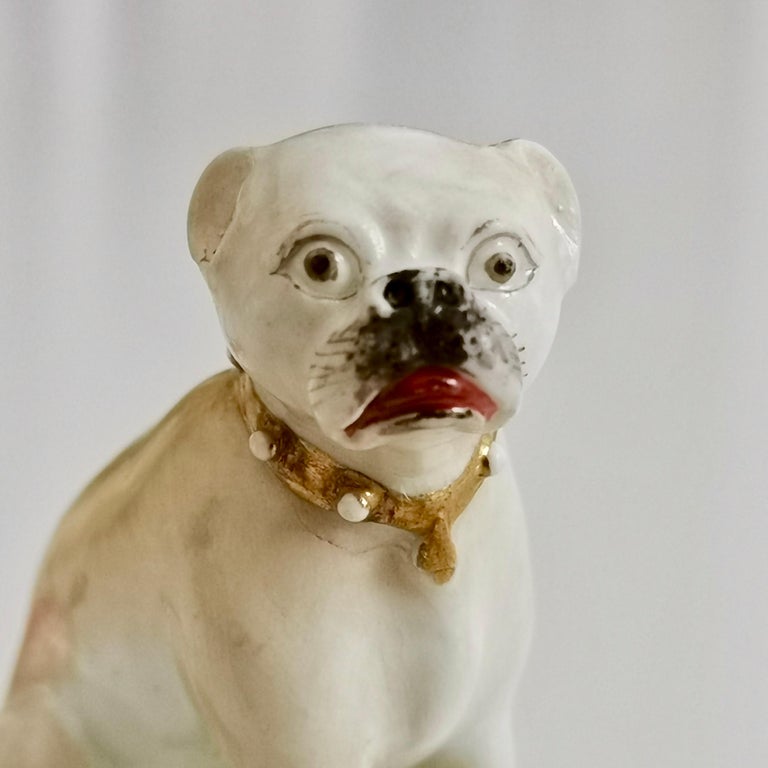 Pair of Two Rockingham Porcelain Pug Dog figures, Regency circa 1835 at ...