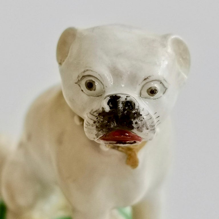 Pair of Two Rockingham Porcelain Pug Dog figures, Regency circa 1835 at ...