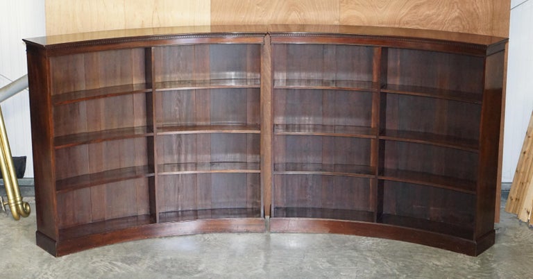 Pair of Very Rare Curved Antique Victorian Flamped Hardwood Library ...