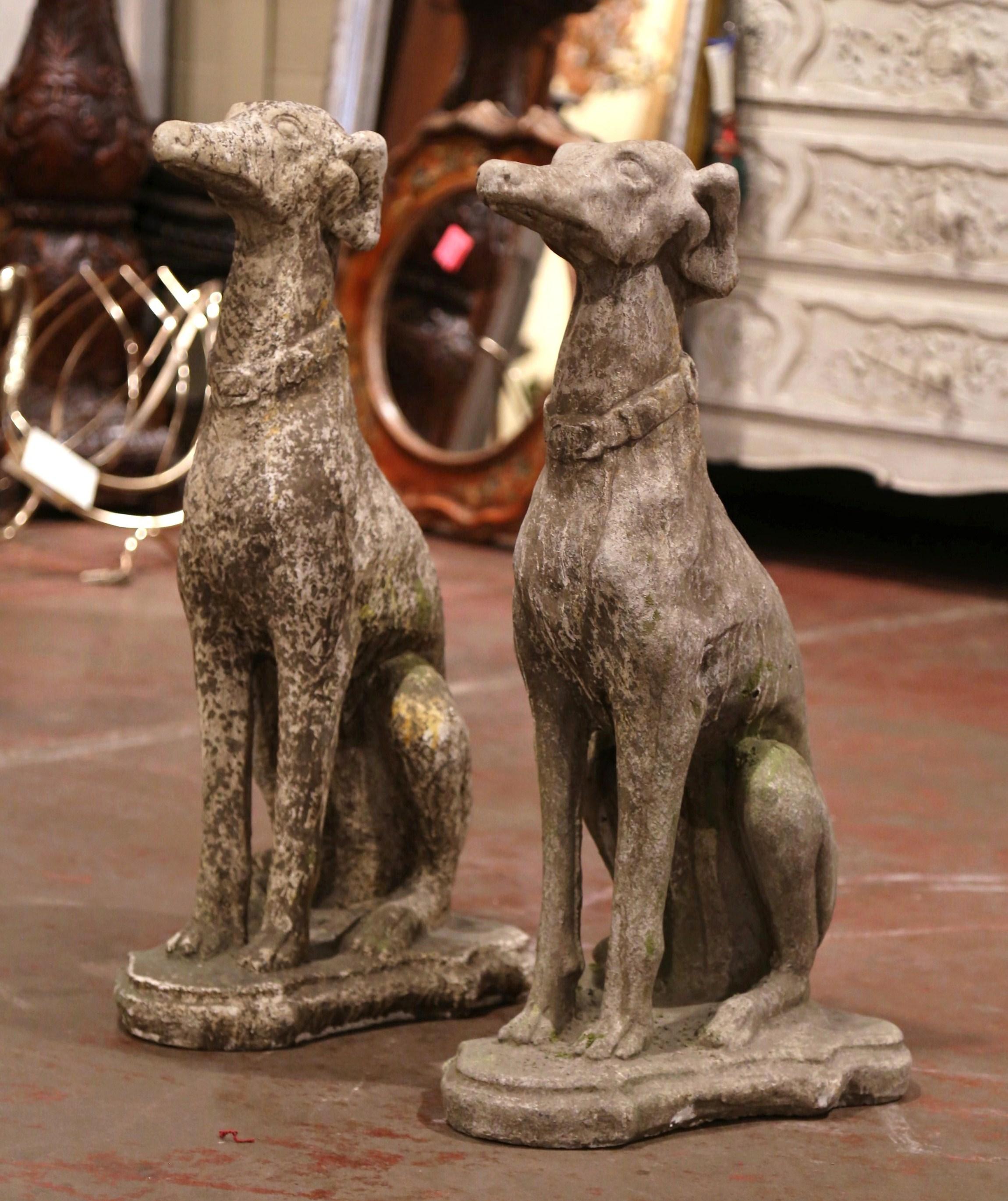 Pair of Vintage French Concrete Weathered Patinated Greyhound Dog ...