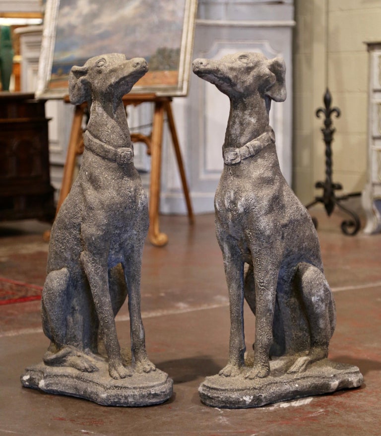 Pair of Vintage French Outdoor Weathered Carved Stone Greyhound Dog ...
