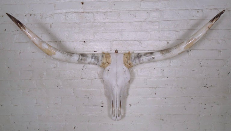 Pair of Wall Mounted Steer Horns For Sale at 1stDibs