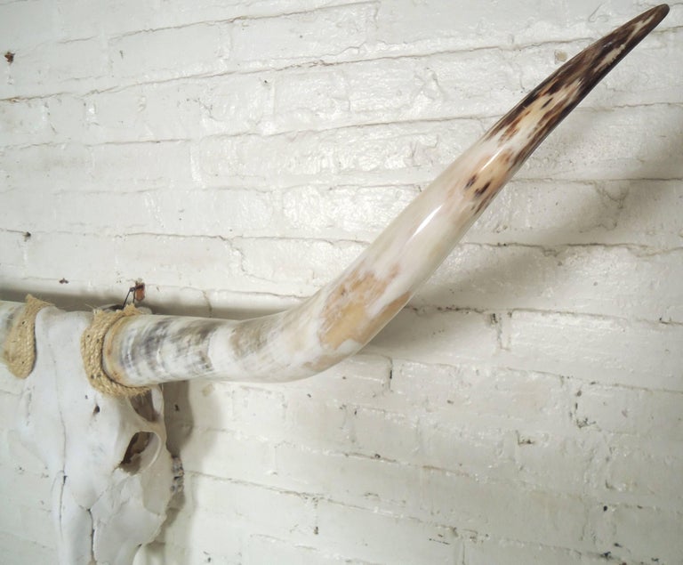 Pair of Wall Mounted Steer Horns For Sale at 1stDibs