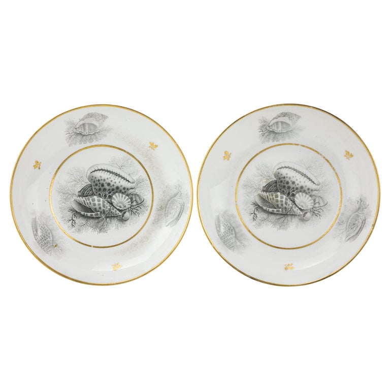 Pair of Worcester Barr Flight Barr Porcelain Saucers with Bat-Printed ...