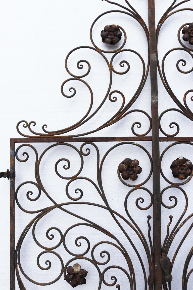 Pair of Wrought Iron Scroll Work Gates at 1stDibs