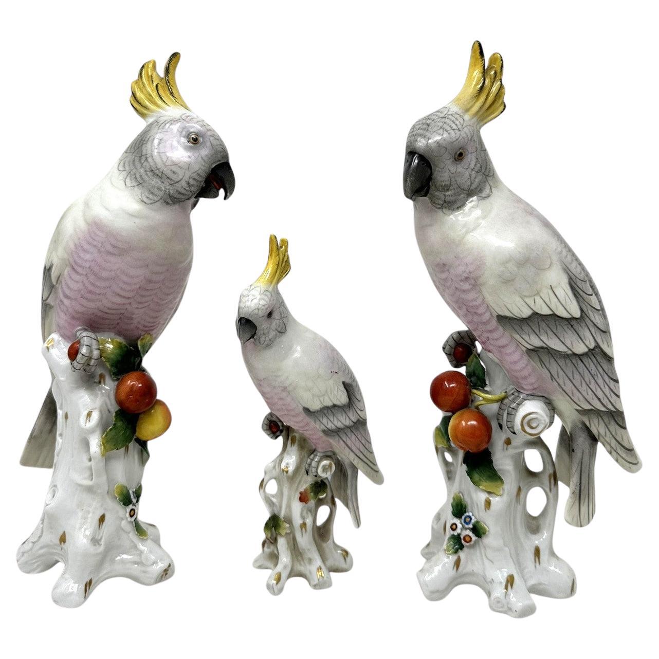 Pair Royal Dux Staffordshire Porcelain Birds Parakeets Cockrels ...