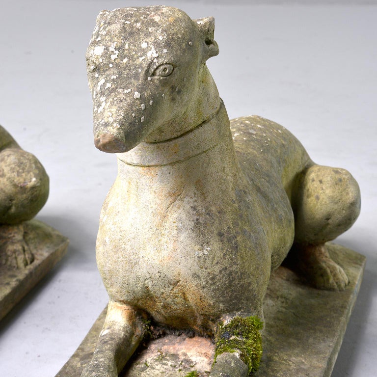 Pair of Vintage English Stone Garden Whippets at 1stDibs