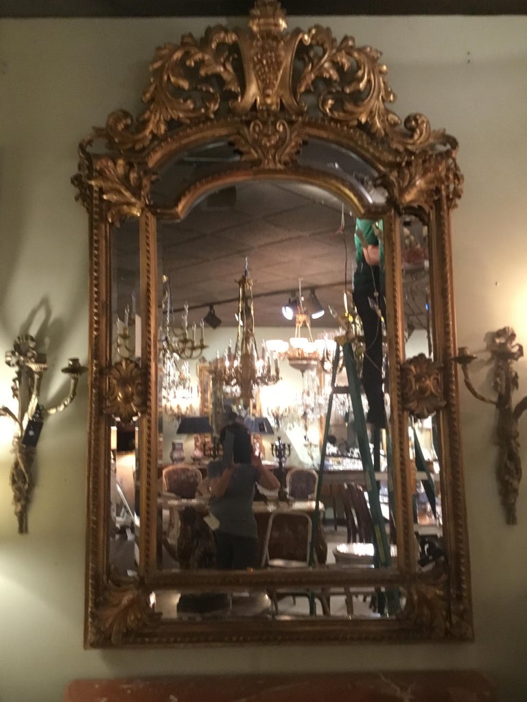 Palace Size Giltwood Rococo Style Cushion Mirror Beveled with Floral ...