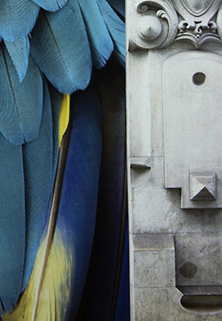 Paloma Castello - Delirio Exótico #13. Collage from 'Exotic Delirium ...