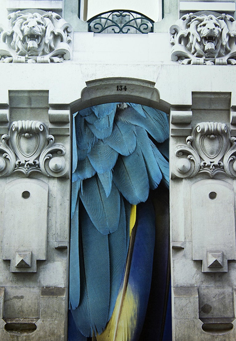 Paloma Castello - Delirio Exótico #13. Collage from 'Exotic Delirium ...