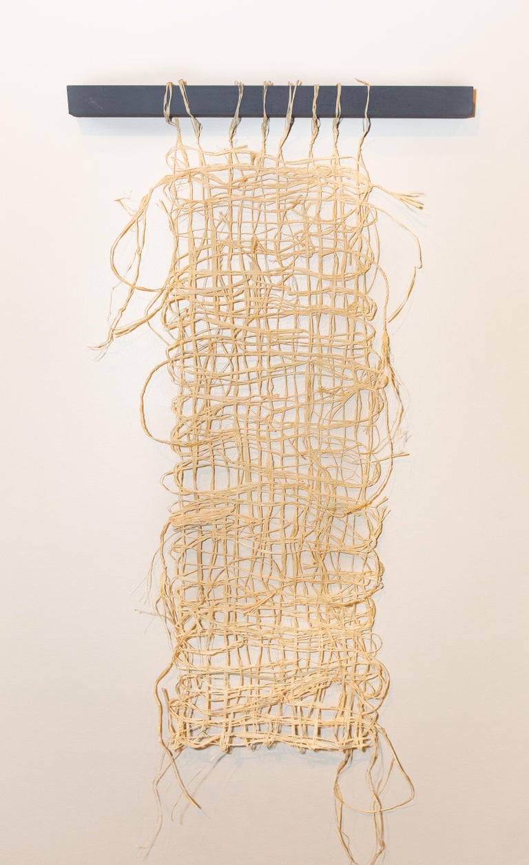 Pam Marlene Taylor - Graphs- Woven Sculptural Wall Hanging For Sale at ...