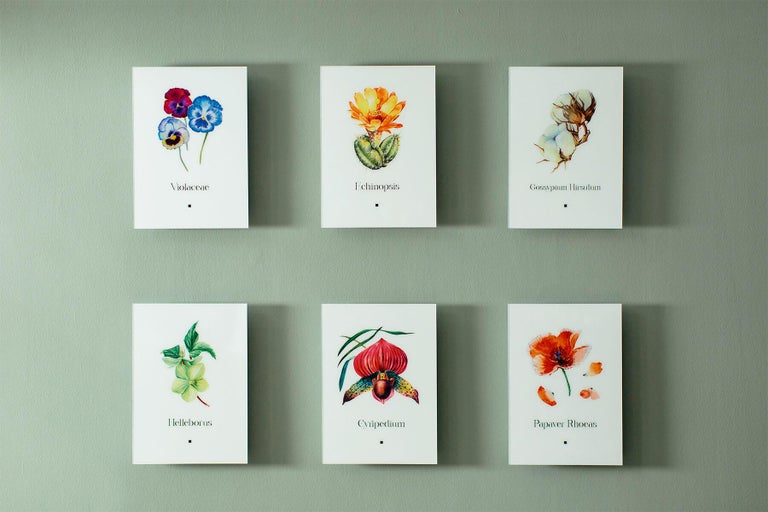 Papaver Rhoes Diasec Print For Sale at 1stDibs