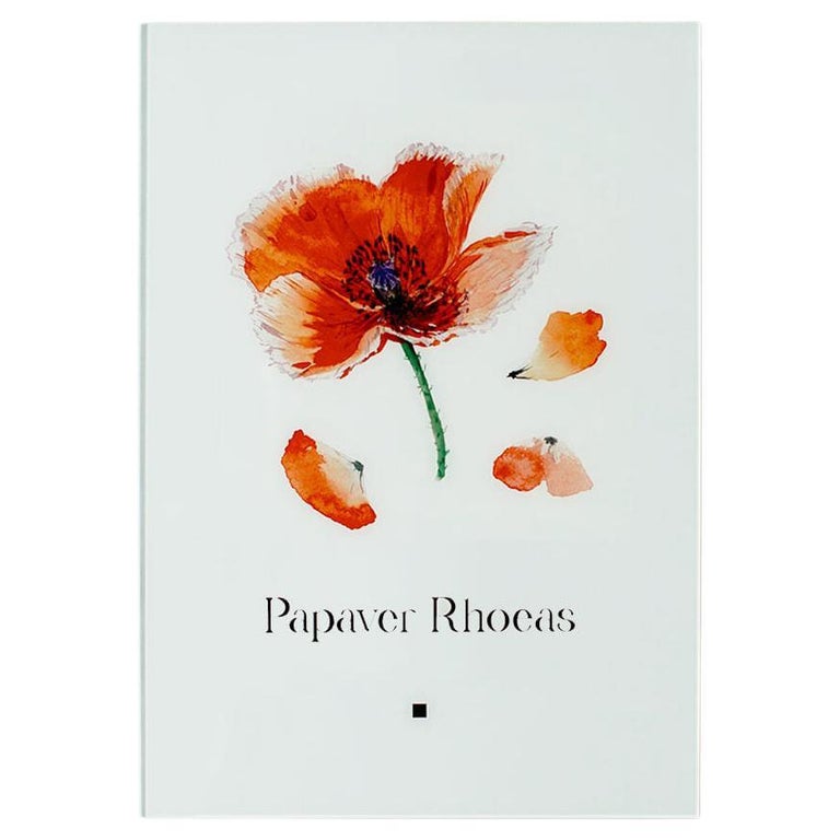 Papaver Rhoes Diasec Print For Sale at 1stDibs