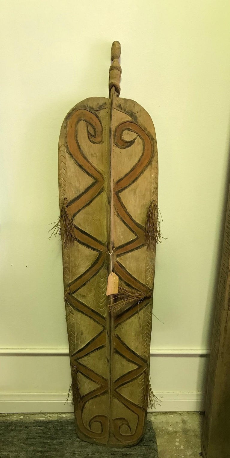 Papua New Guinea Irian Jaya Indonesia Asmat Carved Wood Shield, 19th ...