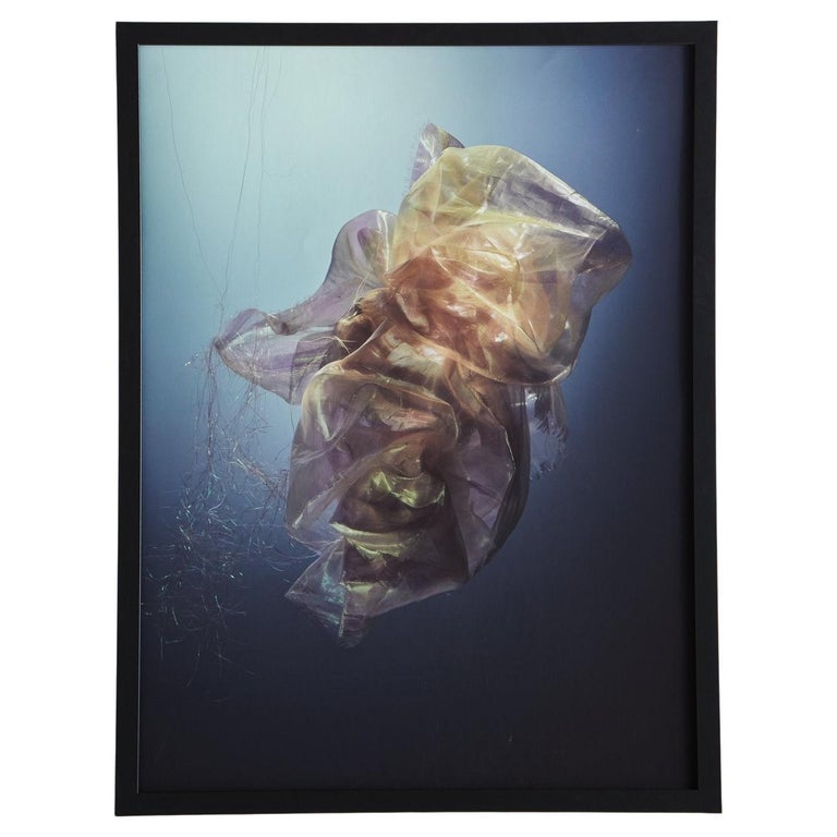 Parachute Print I by Brooke Vandever For Sale at 1stDibs