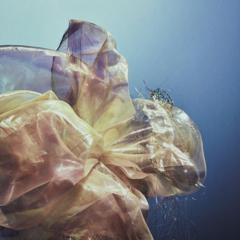 Parachute Print II by Brooke Vandever For Sale at 1stDibs
