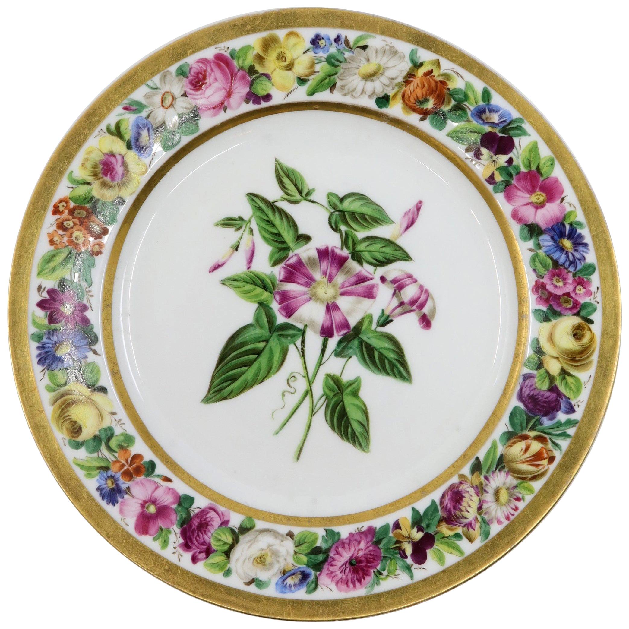 Antique French Oyster Plate at 1stDibs