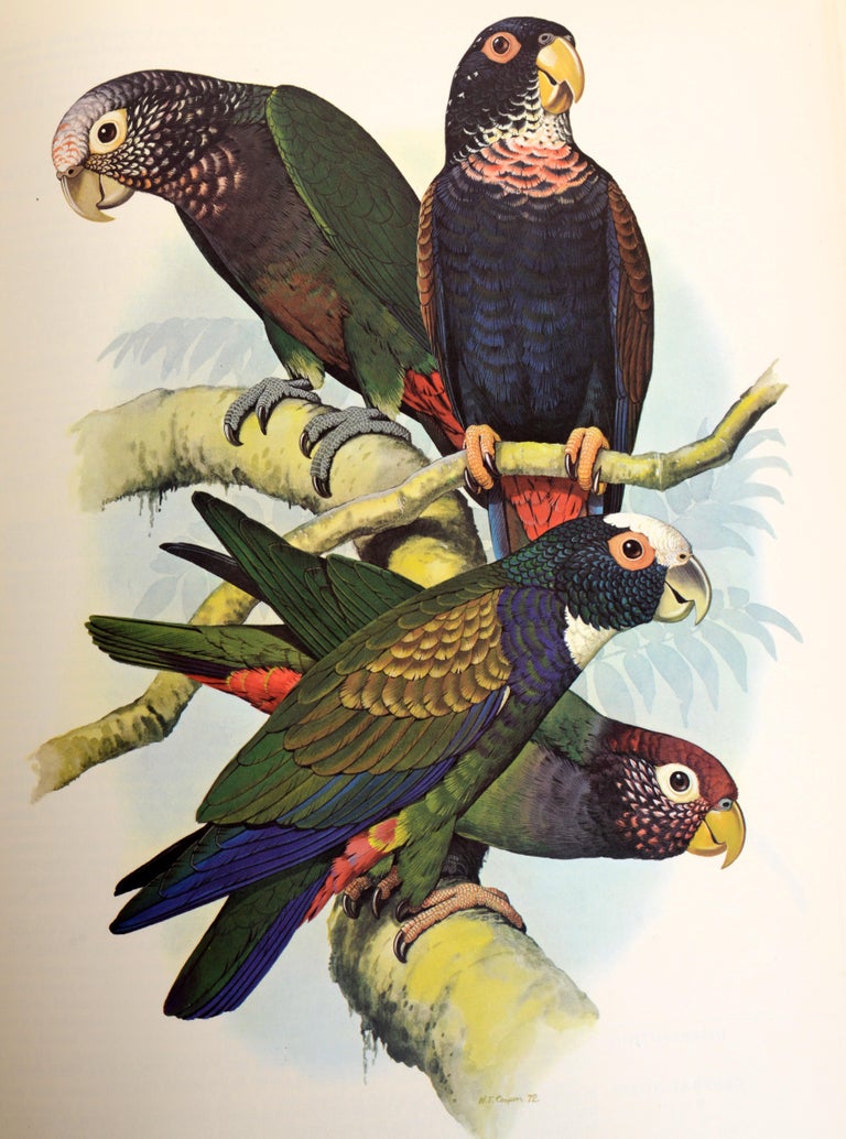Parrots of the World by Joseph Forshaw, 1st Ed For Sale at 1stDibs ...