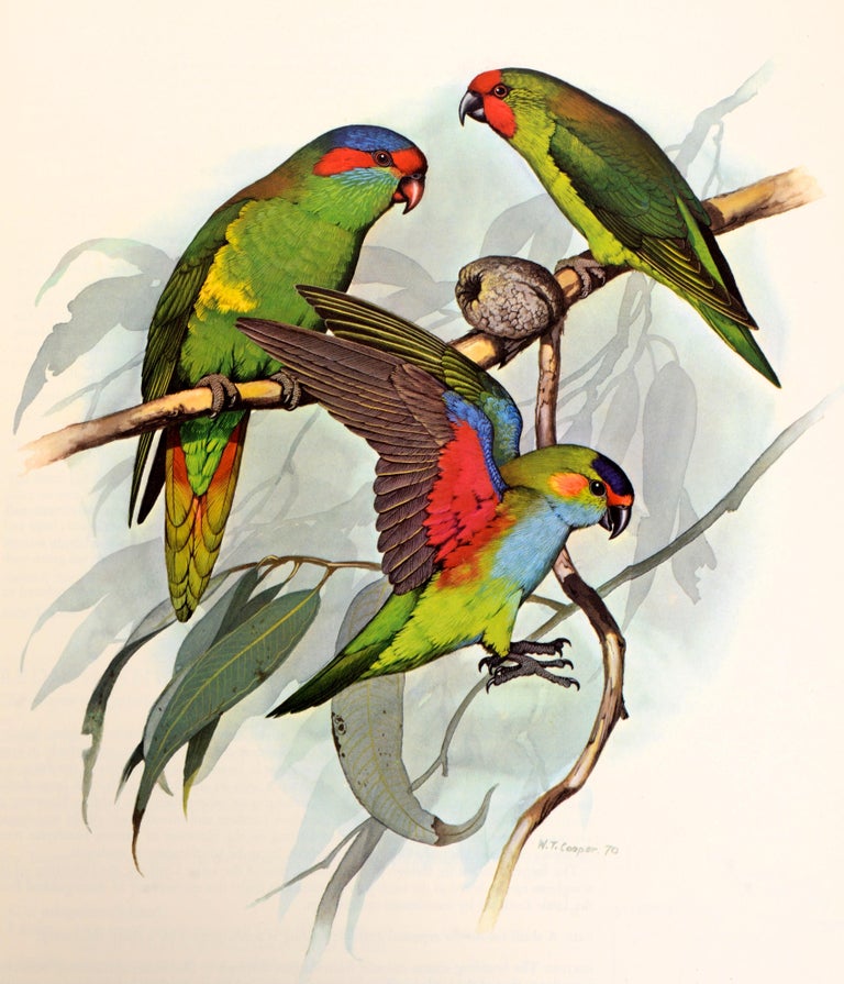 Parrots of the World by Joseph Forshaw, 1st Ed For Sale at 1stDibs