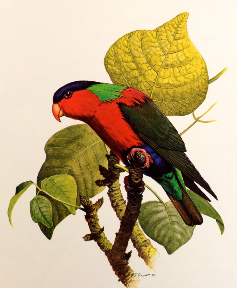 Parrots of the World by Joseph Forshaw, 1st Ed For Sale at 1stDibs ...