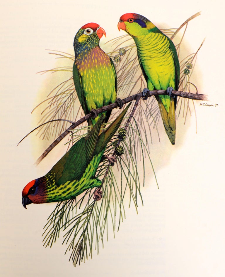 Parrots of the World by Joseph Forshaw, 1st Ed For Sale at 1stDibs ...