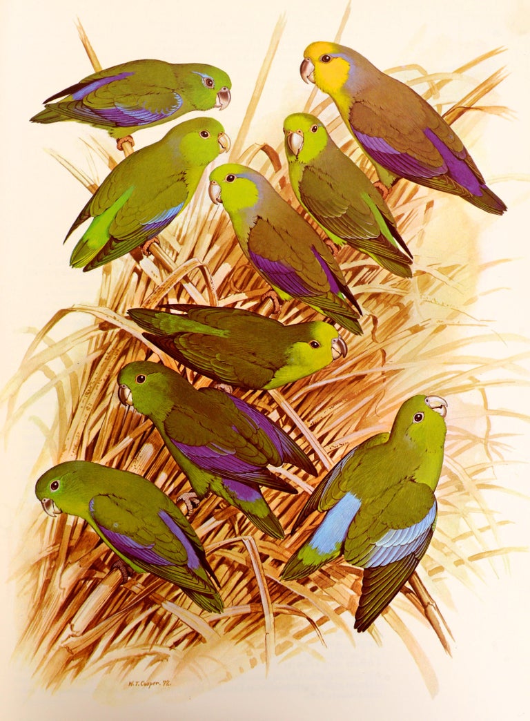 Parrots of the World by Joseph Forshaw, 1st Ed For Sale at 1stDibs ...