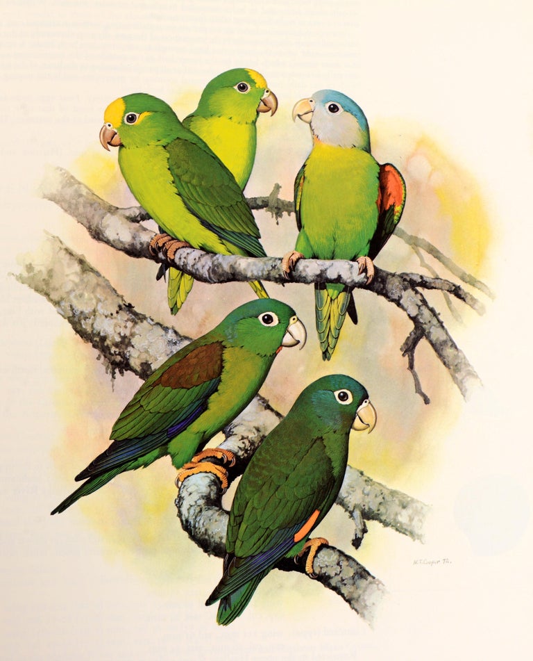 Parrots of the World by Joseph Forshaw, 1st Ed For Sale at 1stDibs ...