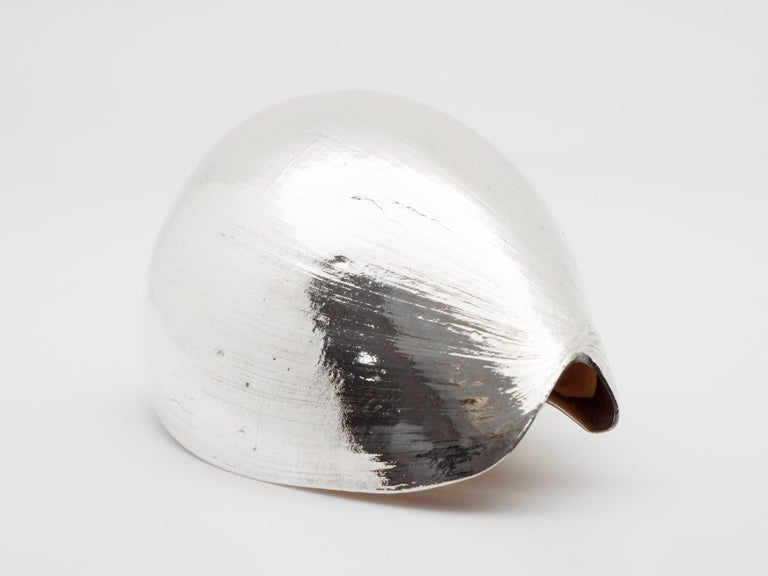 Silvered Sea Shell Cymbiola For Sale at 1stDibs