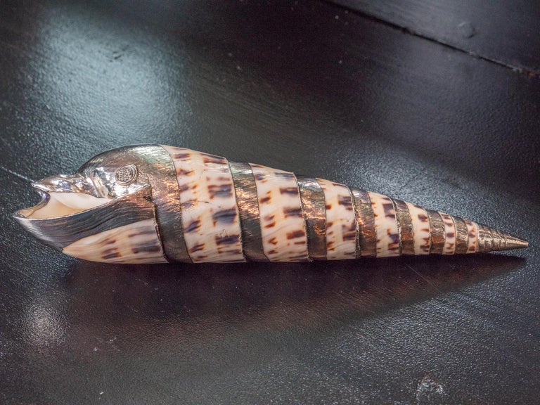 Partially Silvered Sea Shell Marlinspike For Sale at 1stDibs