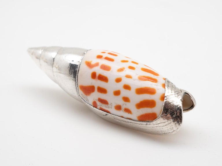 Partially Silvered Sea Shell Mitra For Sale at 1stDibs