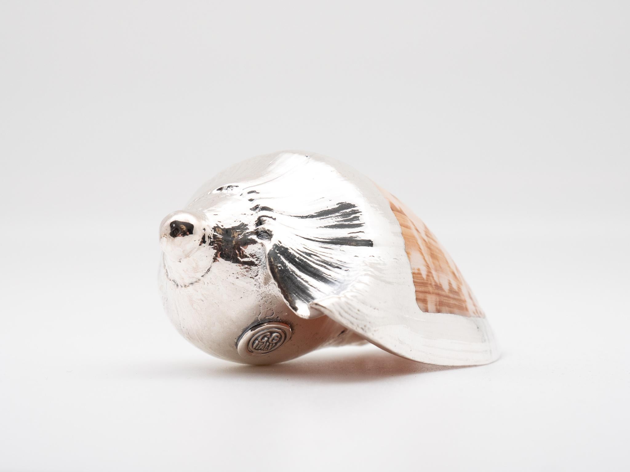 Partially Silvered Sea Shell Nobilis For Sale at 1stDibs