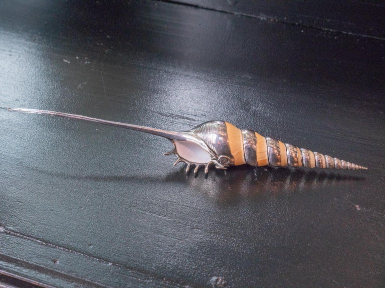 Partially Silvered Sea Shell Tibia Fusus For Sale at 1stDibs