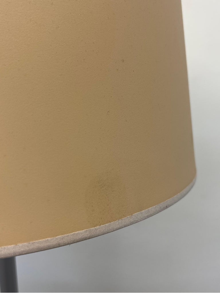 Pascal Mourgue Steel Floor Lamp with Tan Shade for Ligne Roset For Sale ...