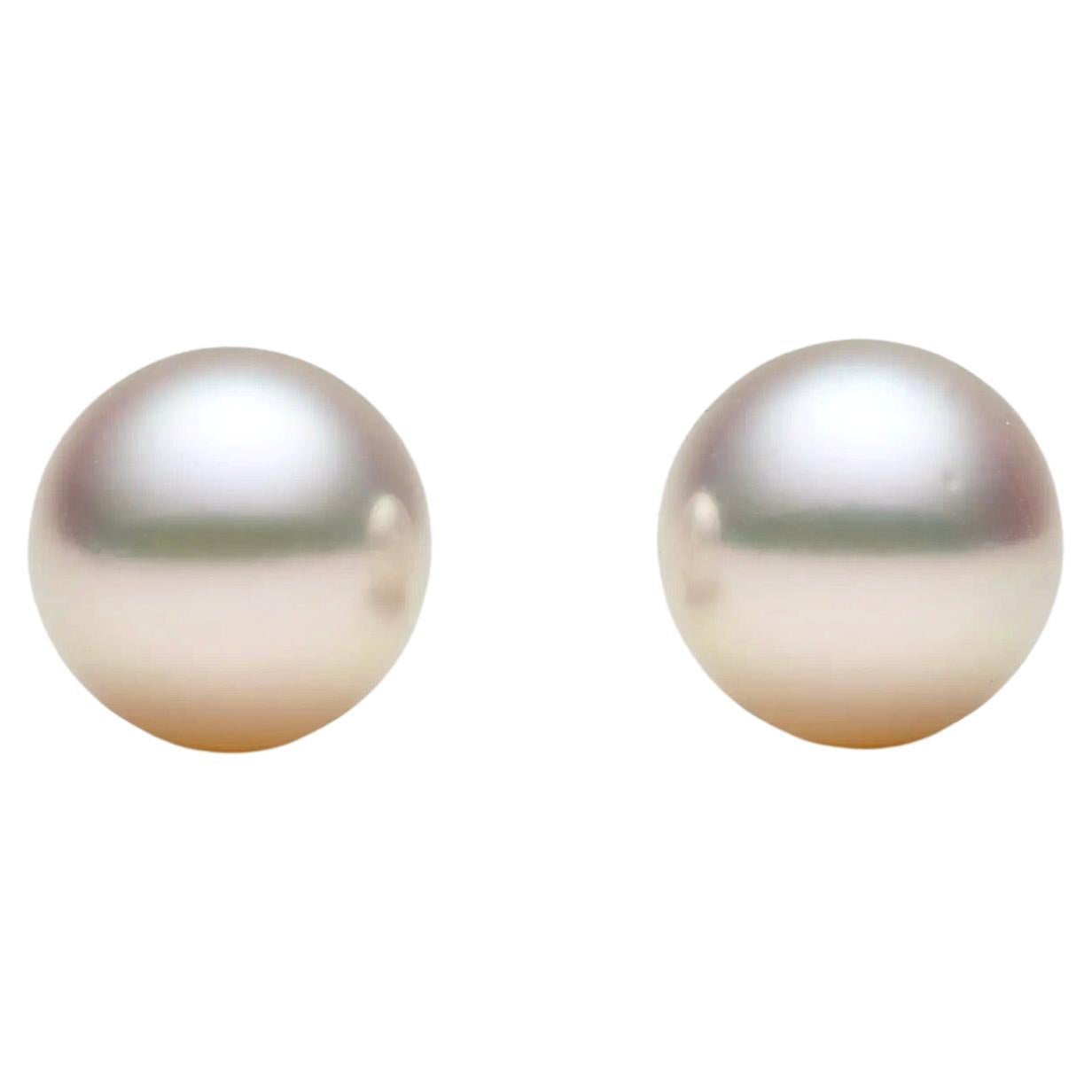 Paspaley Magnificent South Sea Pearl from Australia For Sale at 1stDibs
