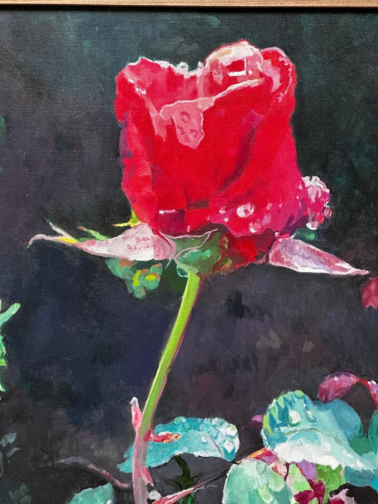 Pat Berger - Red Rose on a Black Background Naturalistic Oil on Canvas ...