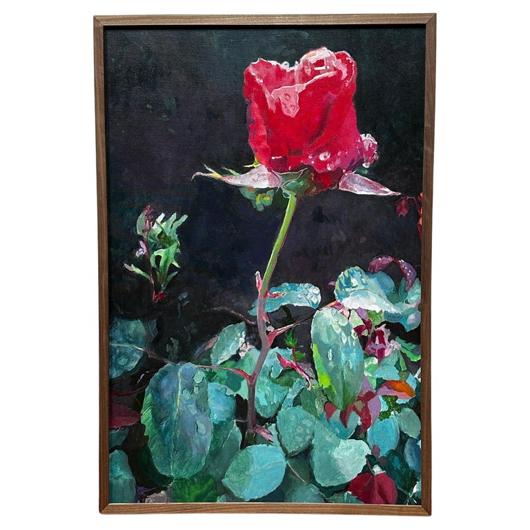 Pat Berger - Red Rose on a Black Background Naturalistic Oil on Canvas ...